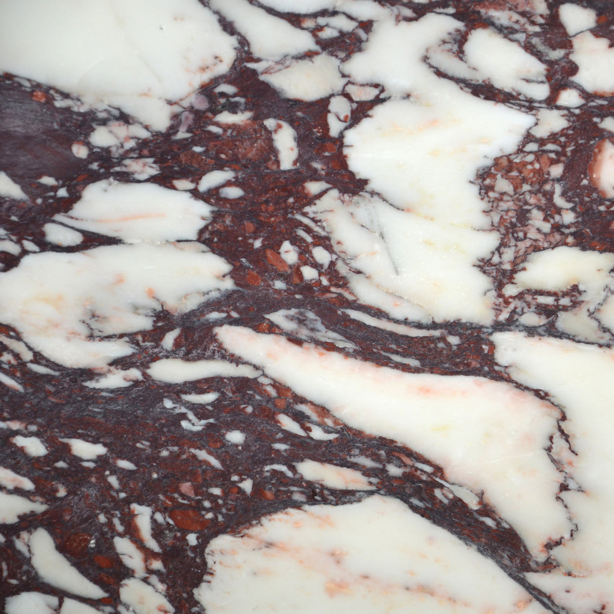 Calacatta Viola Marble – SAMPLES